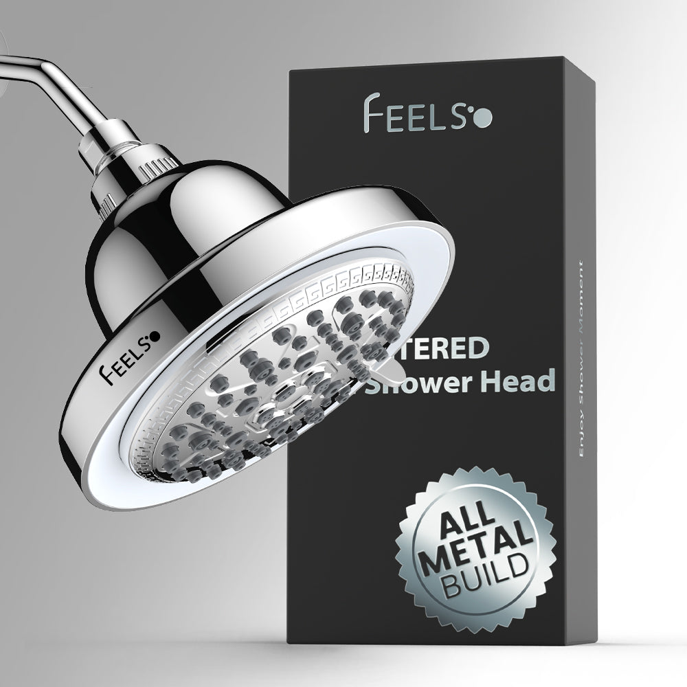 Filtered shower head